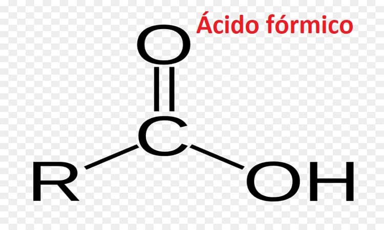 ¿Cuáles son los usos del ácido fórmico? - Magazine Z